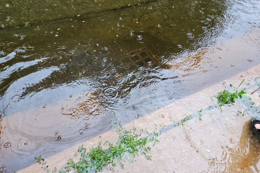 Why You Need Water Backup Coverage