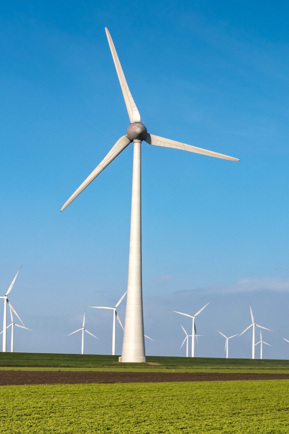 Renewable Energy Solutions